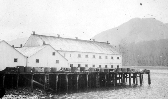 H O M E B A C K C O L L E C T I O N